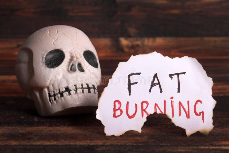 Fat Skull Stock Illustrations – 244 Fat Skull Stock Illustrations ...