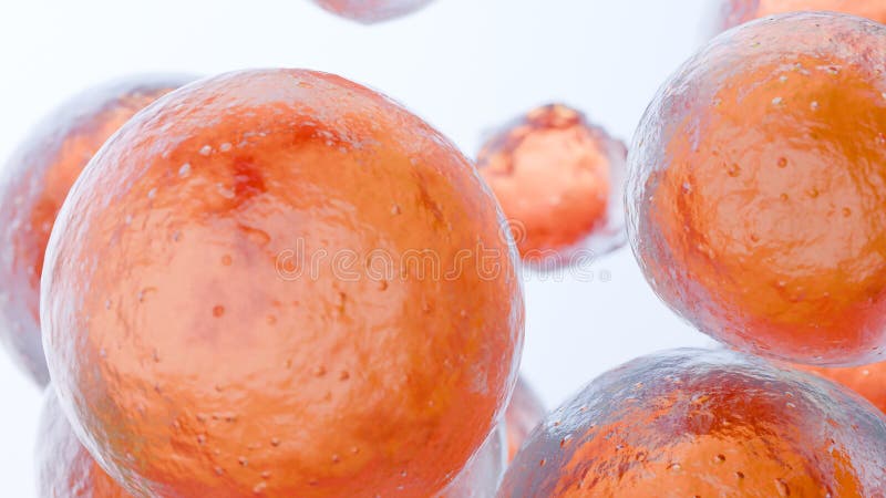 Fat Cells, Adipocyte and Lipocyte, Cholesterol in a Cells Stock ...