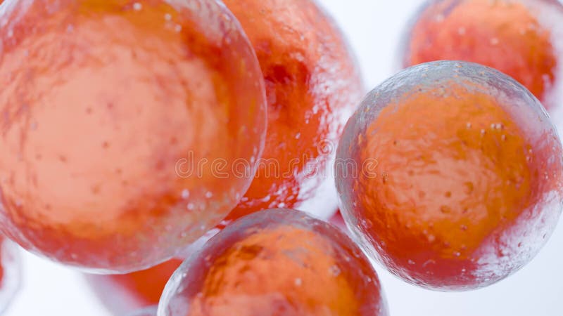 Fat Cells, Adipocyte and Lipocyte, Cholesterol in a Cells Stock Video ...