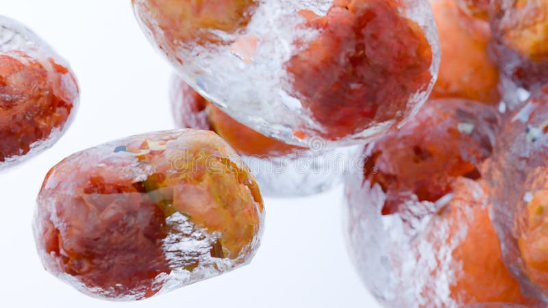 Fat Cells, Adipocyte and Lipocyte, Cholesterol in a Cells, Stock ...