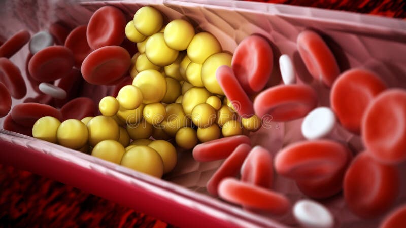 Fat Cells Blocking the Blood Flow Inside Human Vein. 3D Illustration ...