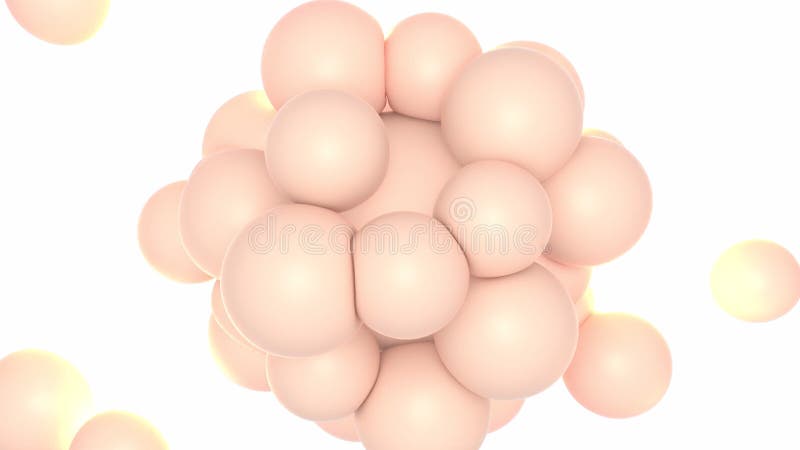 Fat Cells Collide into One Pile on a Transparent Back Stock Footage ...