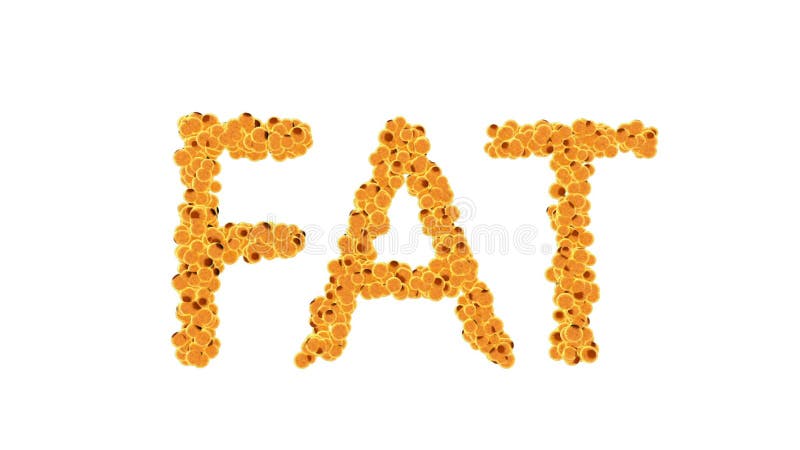 Fat Cells, Adipocyte and Lipocyte, Cholesterol in a Cells, Stock ...