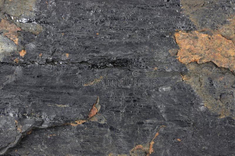 534 Fat Generation Stock Photos - Free & Royalty-Free Stock Photos from ...