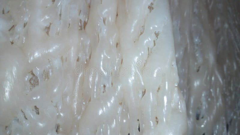 The Fat that Covers the Belly of the Lamb after it Has Been Dried Stock ...