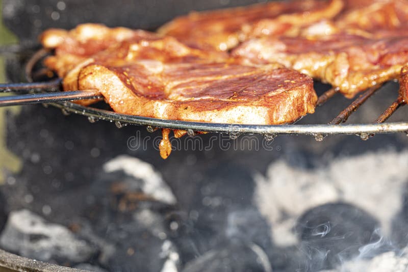 Fat Drips from the Meat on the Grill Stock Image - Image of summer ...