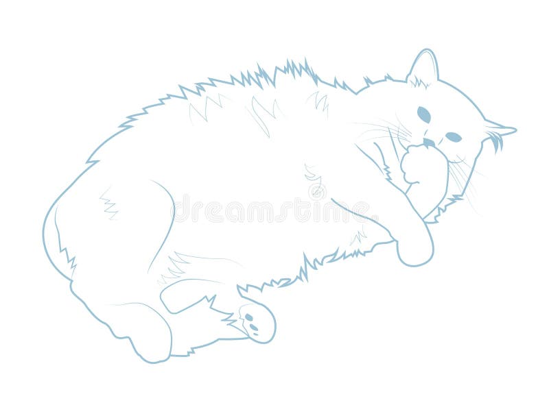 Fat fluffy cat stock vector. Illustration of sketch - 249404131