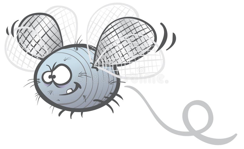 Fat fly stock vector. Illustration of clip, cartoon, design - 22341559