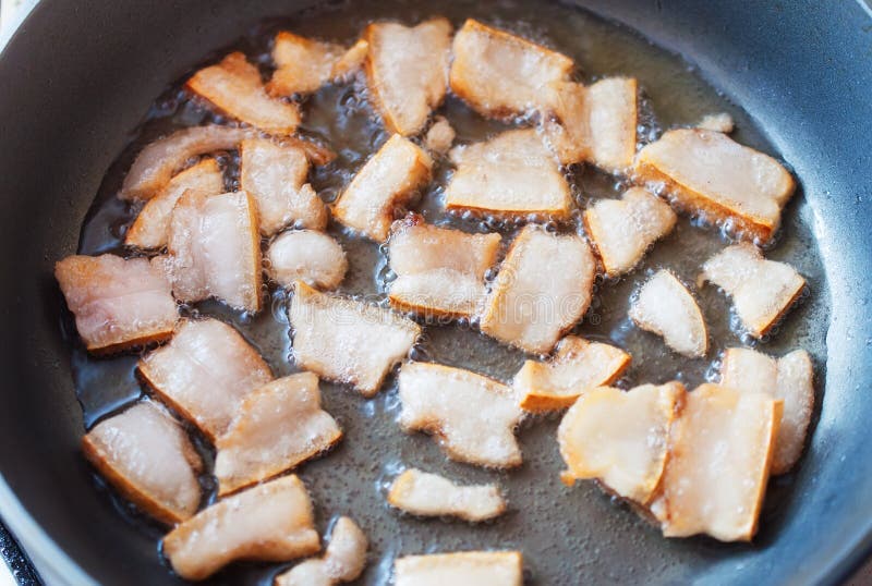 Fat fried in a pan. stock image. Image of appetizing - 34052013