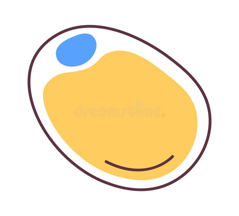 Adipocyte Structure Fat Cell Stock Illustrations – 157 Adipocyte ...