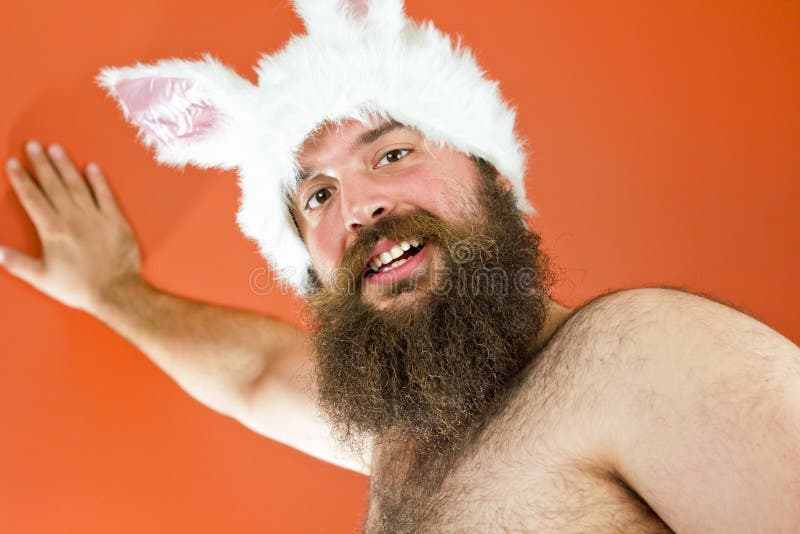 458 Fat Easter Bunny Stock Photos - Free & Royalty-Free Stock Photos ...