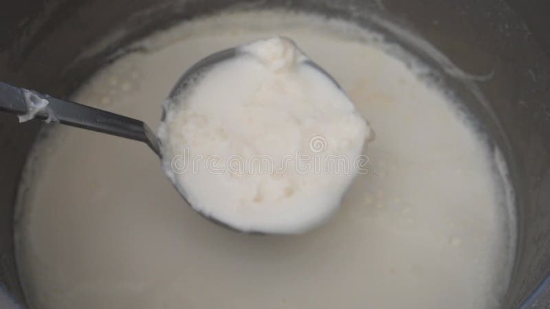 Fat Milk Cream on Cooked Milk, Which is Formed on Natural Cow S Milk ...