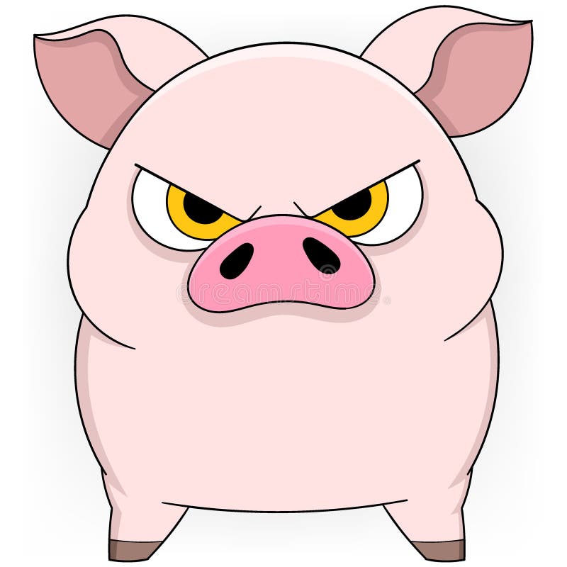 Fat Pig Showing Angry Face with Sharp Eyes Stock Vector - Illustration ...