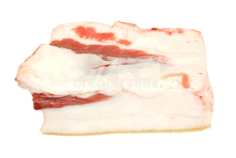 Fat pork stock photo. Image of isolation, skin, animal - 23462462