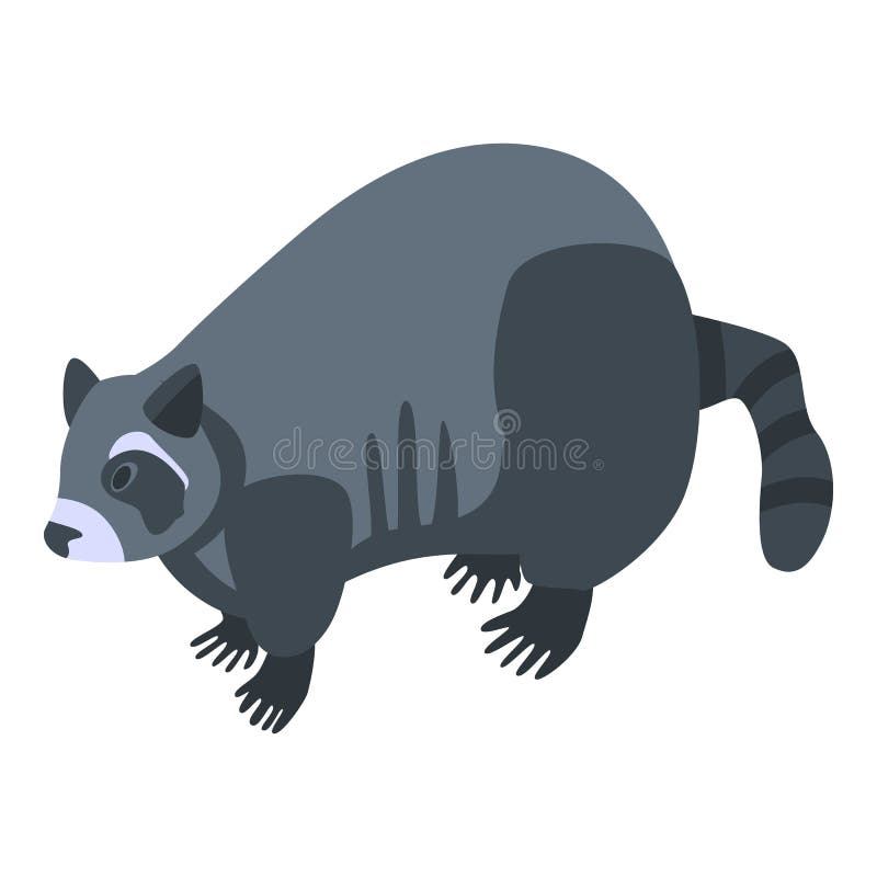 Raccoon Side View Stock Illustrations – 91 Raccoon Side View Stock ...