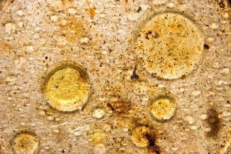 Fat texture stock image. Image of background, sticky, abstract - 2434933