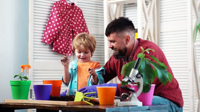 Father Ans Son Planting Sprout in a Plant Pot. Stock Video - Video of ...