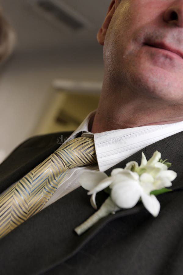 The father of bride stock photo. Image of clothing, collars - 8355890