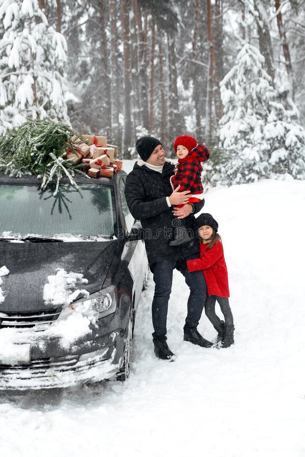 Father Cut Down A Christmas Tree In The Forest And Loaded Into The Car