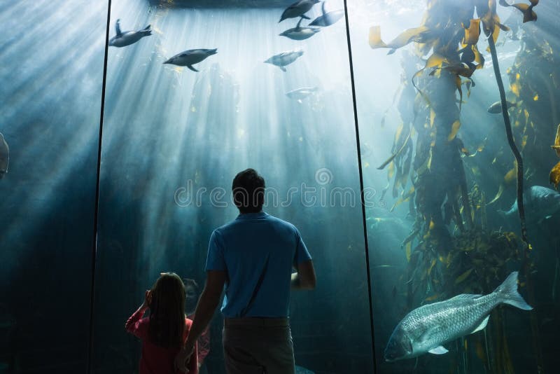 Father and Daughter Looking at Fish Tank Stock Photo - Image of indoors ...