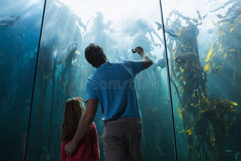 Father and Daughter Pointing a Fish in the Tank Stock Photo - Image of ...