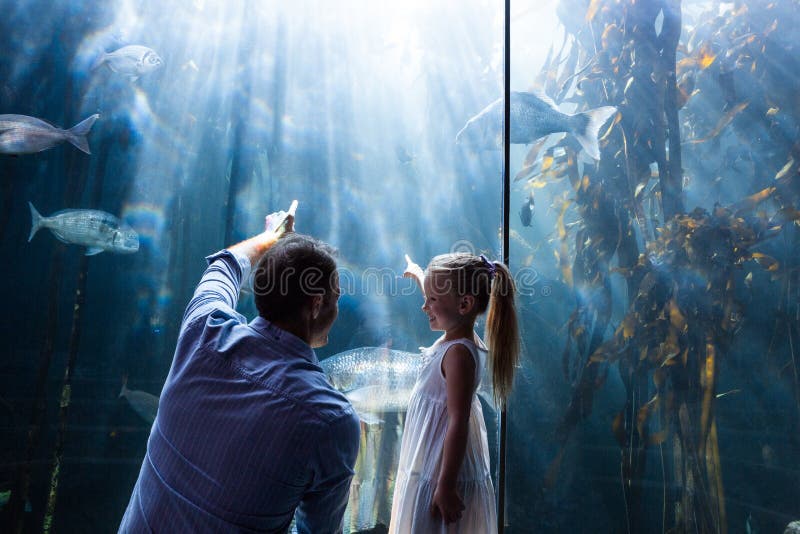 Father and Daughter Pointing a Fish in the Tank Stock Photo - Image of ...