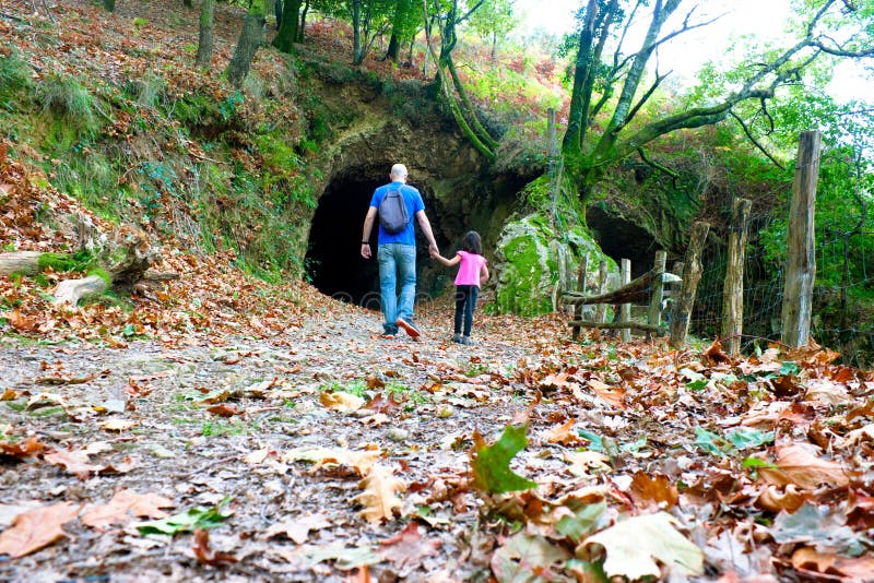 Father and Daughter Walking in the Forest Stock Photo - Image of back ...
