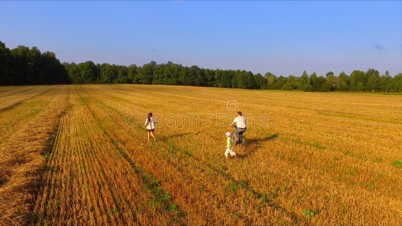 Father with Happy Children Running through the Beveled Rye Field Stock ...