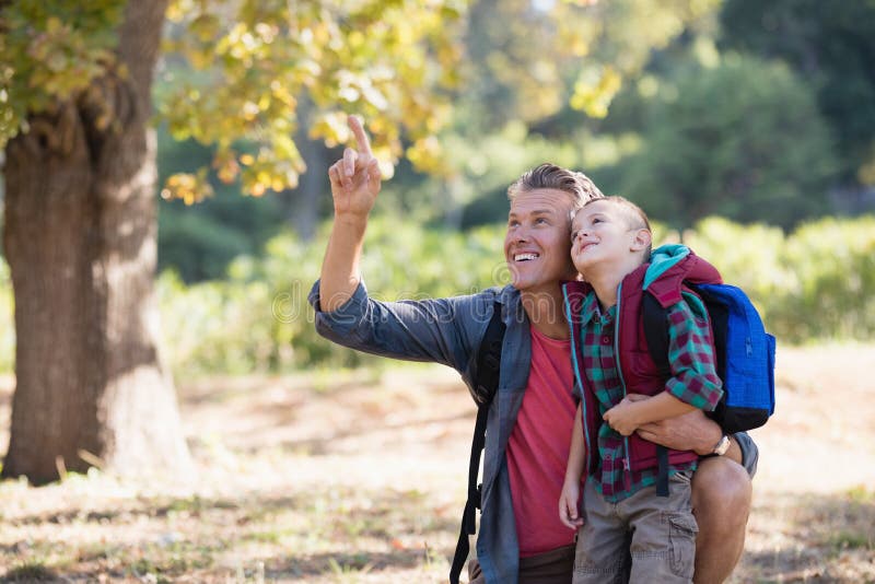 Boy Pointing Man Looking Up Forest Stock Photos - Free & Royalty-Free ...