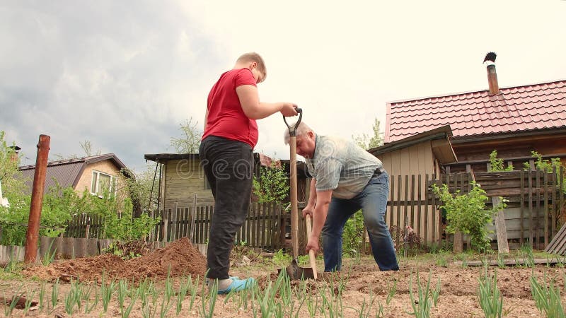 A Father and Son are Digging a Hole with a Shovel To Plant a Tree ...
