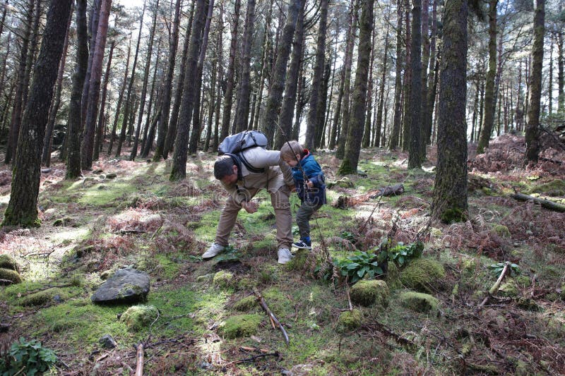 Father and Son Exploring Nature in a Pine Forest Stock Photo - Image of ...