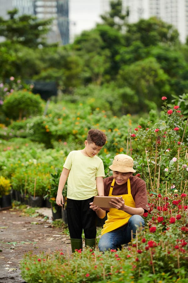 Father and Son at Flower Nursery Stock Photo - Image of growth ...