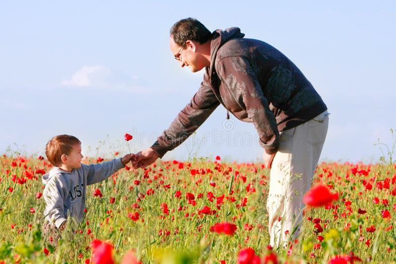 Father and Son in Poppy Field Stock Image - Image of european, enjoy ...