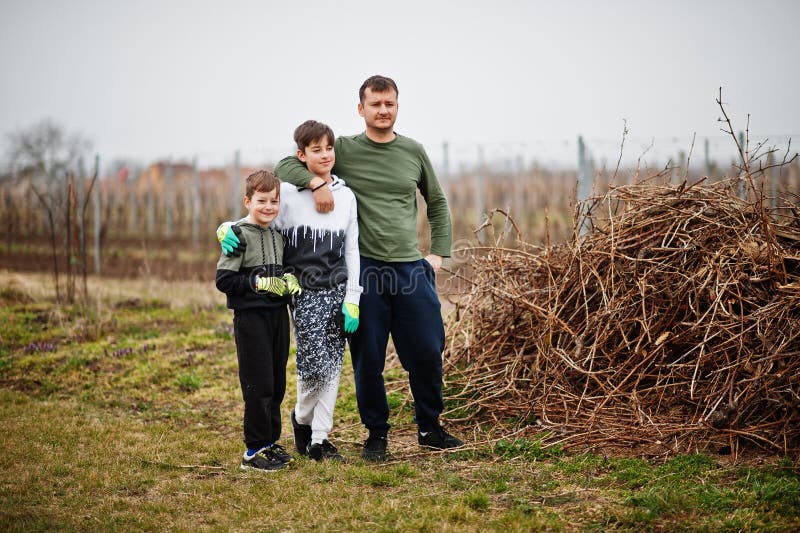 Father with Two Sons Working on Vineyard Stock Photo - Image of ...