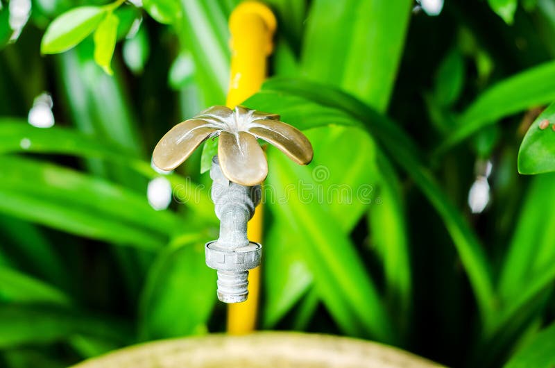 Faucet stock photo. Image of yellow, water, liquid, metal - 49854626