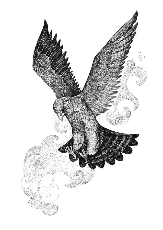 Faucon De Attaque Avec Les Ailes Larges Illustration de Vecteur ...