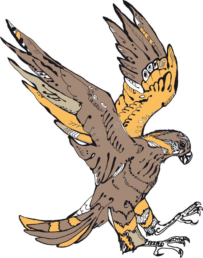 Faucon de vol illustration de vecteur. Illustration du aigle - 100477955