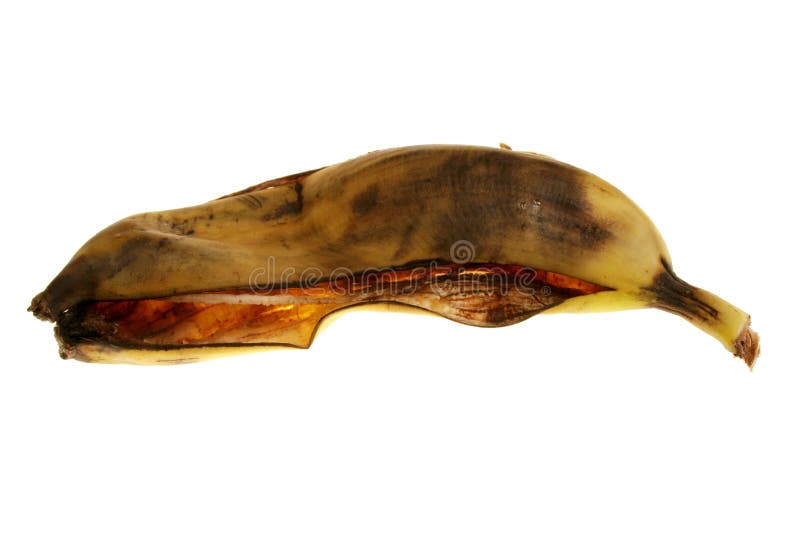 Faul stockfoto. Bild von umkommen, zerfall, faul, falsch - 1541664