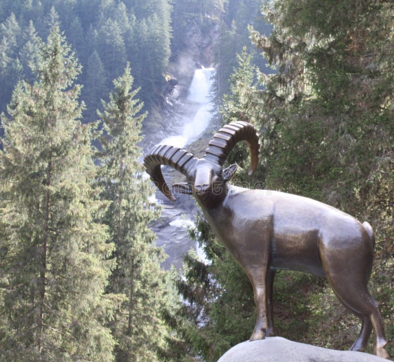 Fauna, Tree, Wildlife, Goats Picture. Image: 112201024