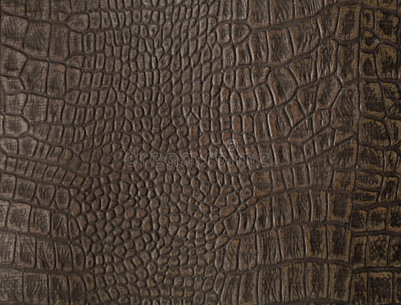 Faux alligator skin stock image. Image of faux, leather - 3700273