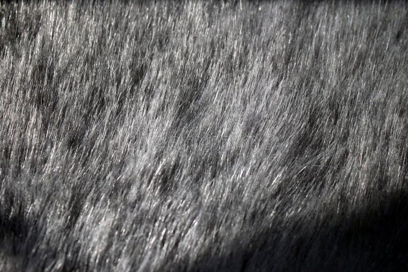 Faux fur texture. stock image. Image of monochrome, hair - 363710277