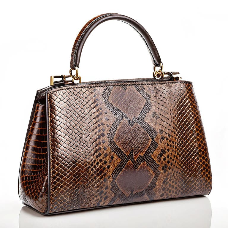 Faux Python Print Purse on White Background Stock Illustration ...