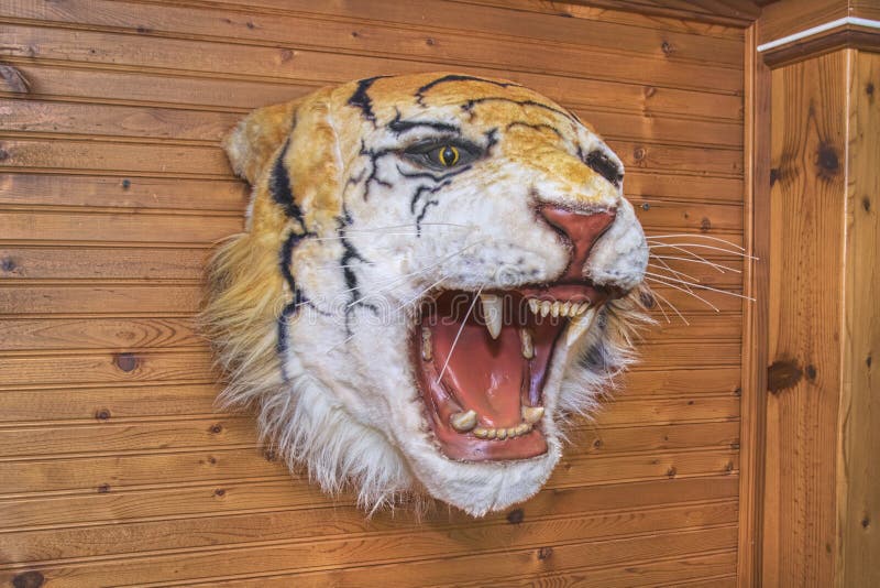 Faux Tiger Taxidermy Statue Stock Image - Image of wild, animal: 308059871