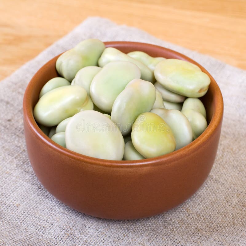 Pianta Della Fava Che Cresce Sulle Canne in Una Toppa Di Verdure ...