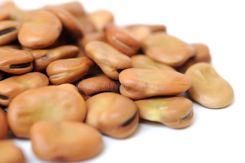 Fava bean stock photo. Image of legume, broad, nutrition - 33423450