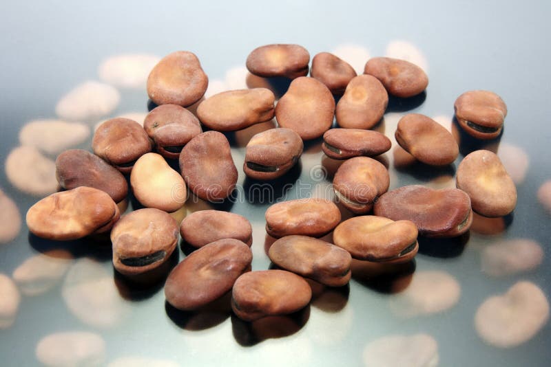 Oats stock photo. Image of cereal, flake, oatmeal, heap - 10787310