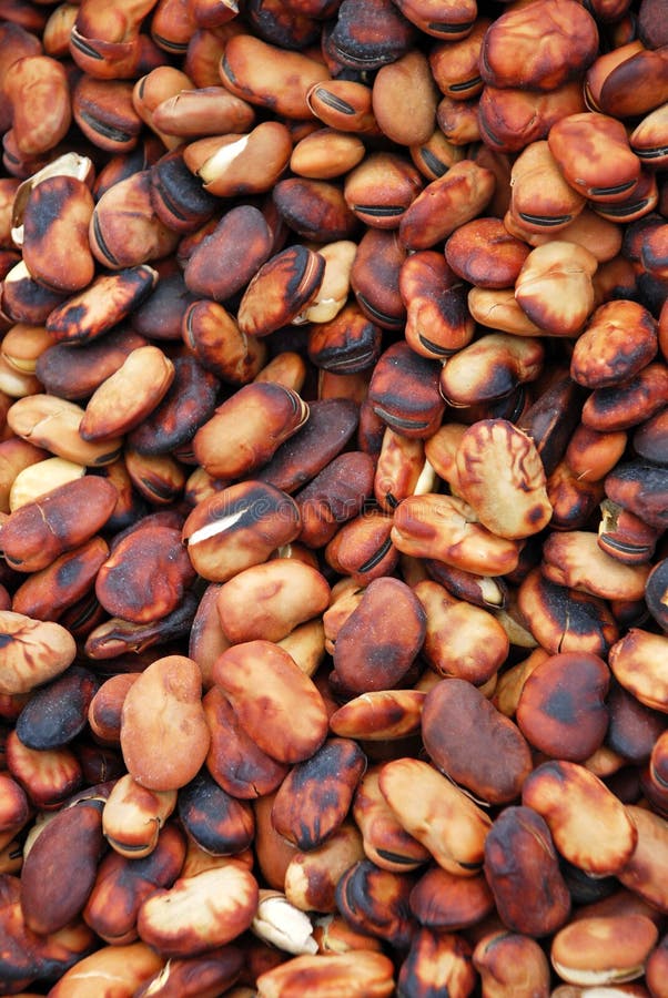 Fava Beans stock photo. Image of shells, health, market - 11979164