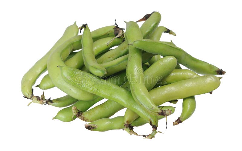 Fava beans stock photo. Image of white, freshness, food - 33854926