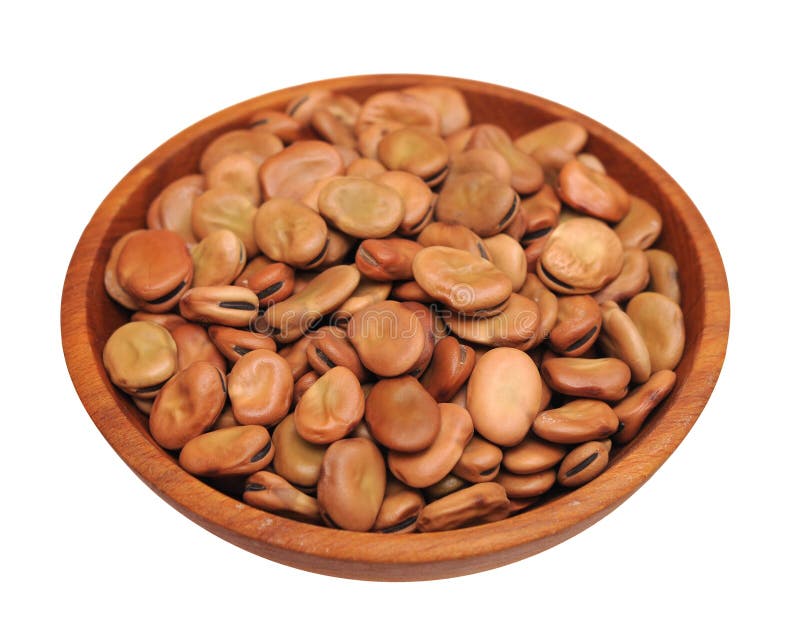 Broad or fava beans stock photo. Image of seeds, healthy - 23152482