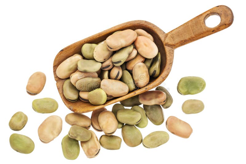 Fava (broad) beans stock image. Image of scoop, fava - 27712061